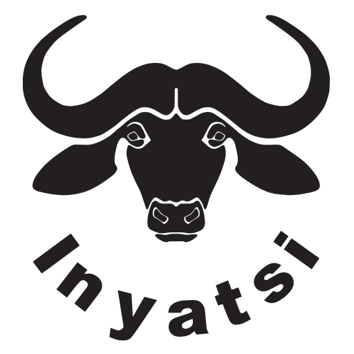 Inyatsi Group Holdings – Africa's Leading Intergrated Business Partner